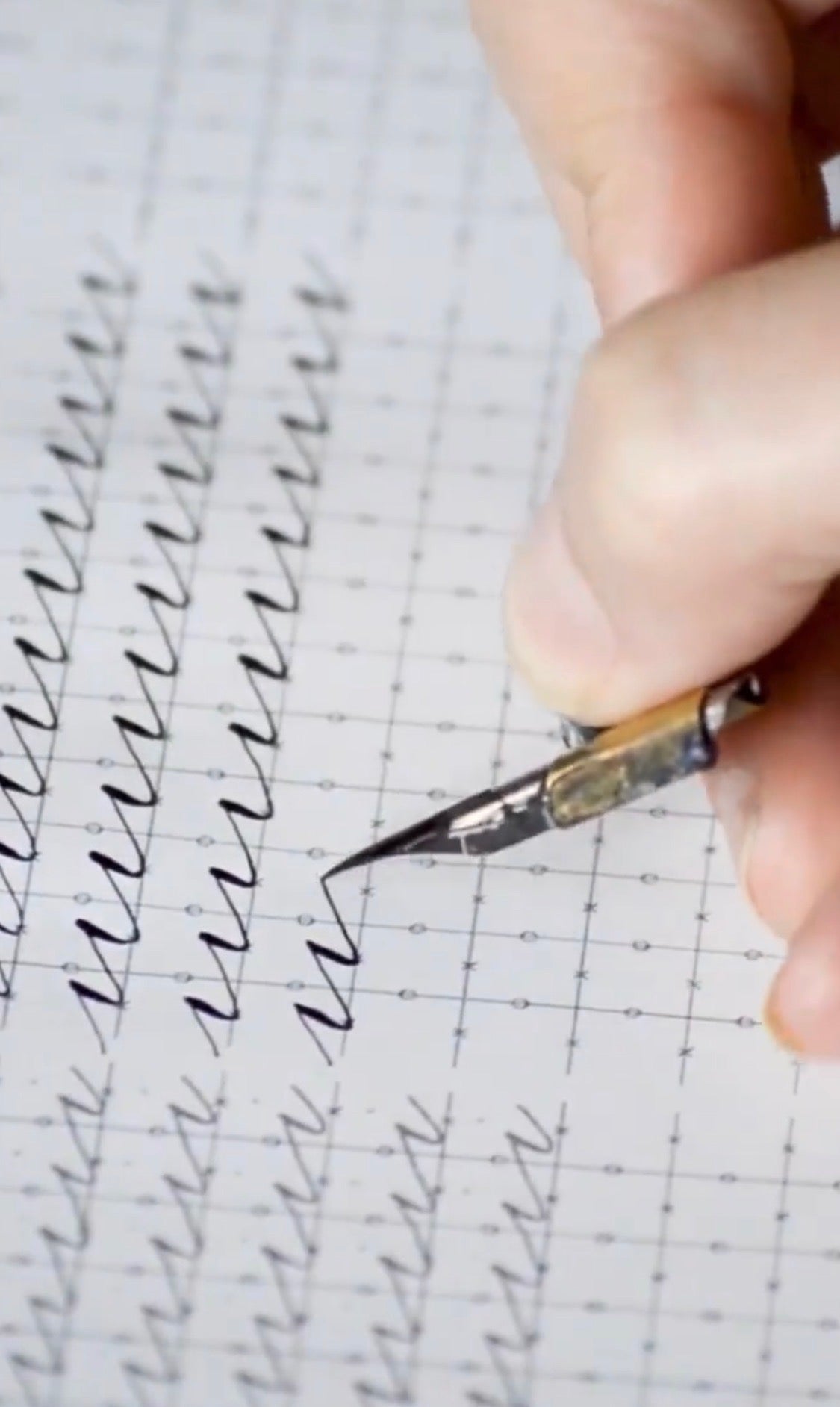 The Calligraphy Practice Plan: 1.0 & 2.0 – Laura Hooper Design House