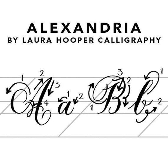 Alexandria Script – Laura Hooper Design House